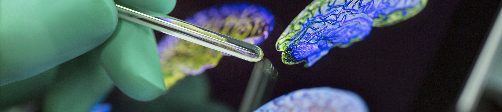 Practices - Williams & Connolly LLP